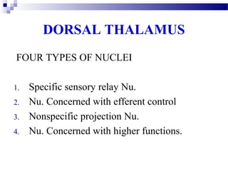Thalamus | PPT