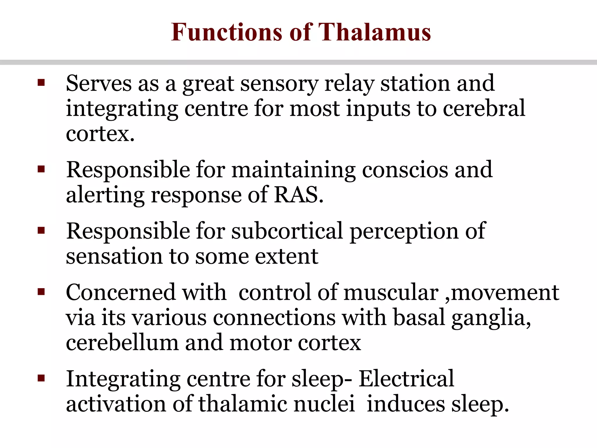 Thalamus | PPTX