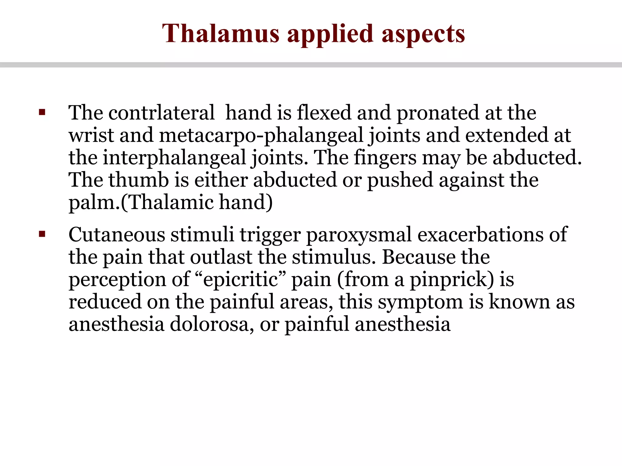 Thalamus | PPTX
