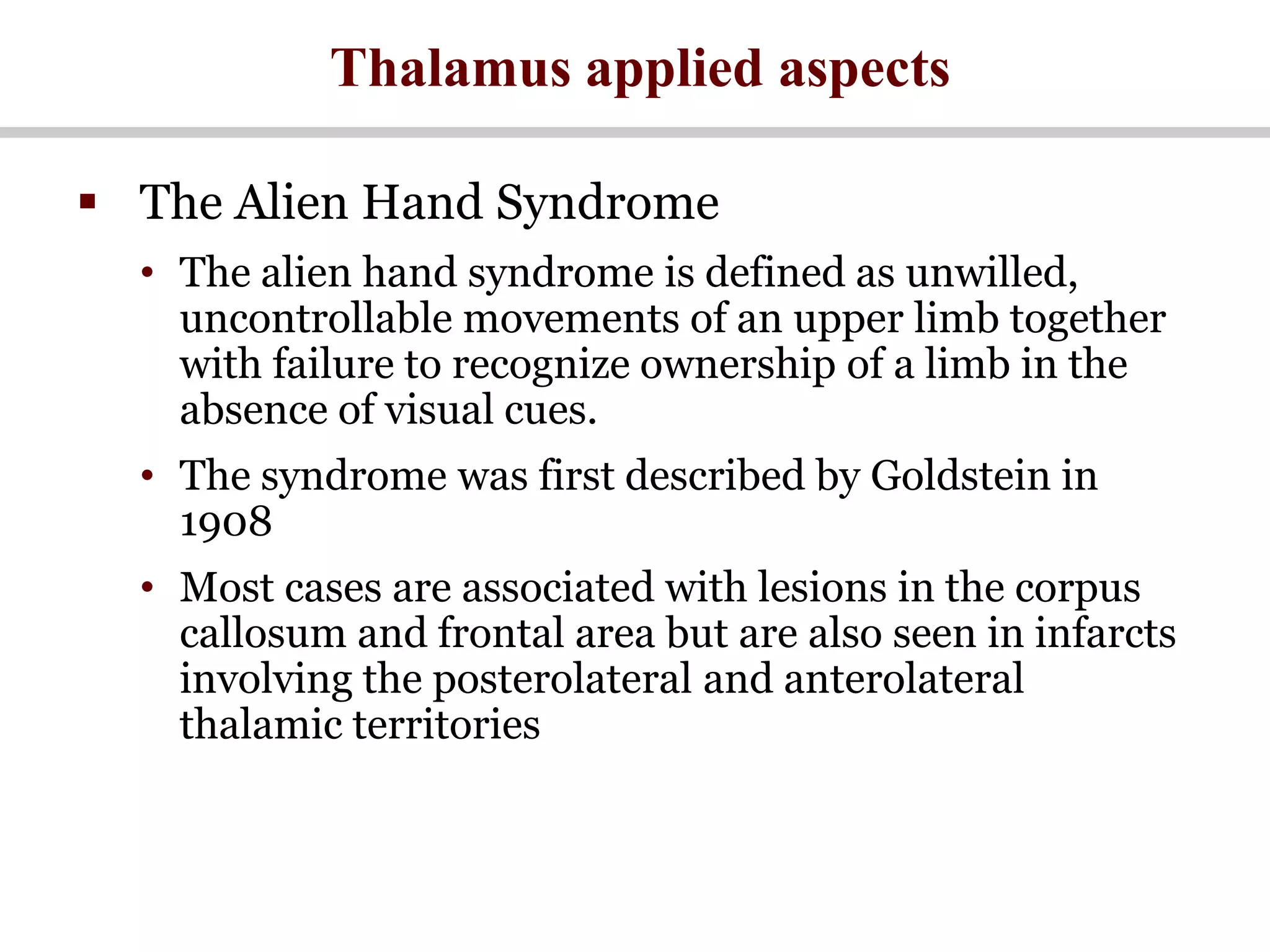 Thalamus | PPTX