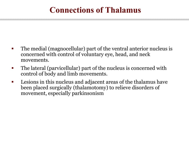 Thalamus | PPTX | Brain and Nervous System Disorders | Diseases and ...