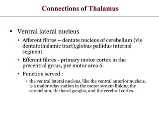 Thalamus | PPTX
