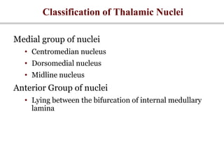 Thalamus | PPTX