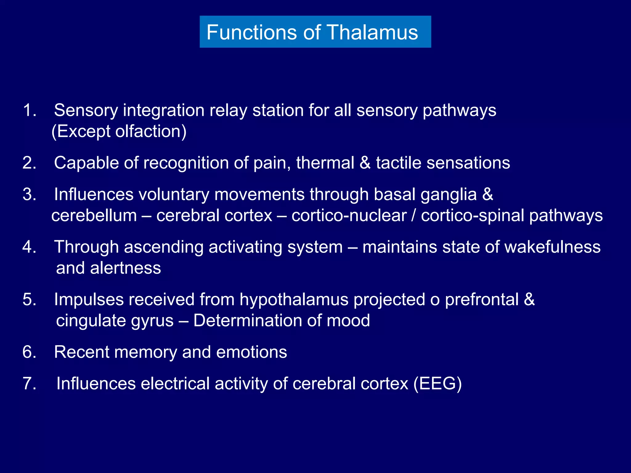 Thalamus, anatomy of thalamus, Thalamus PPT | PPTX