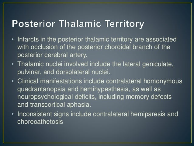 Thalamus