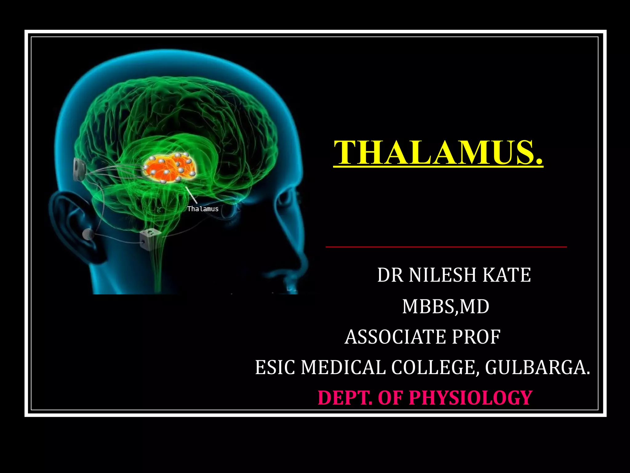 THALAMUS | PPT