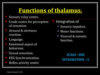 THALAMUS | PPT