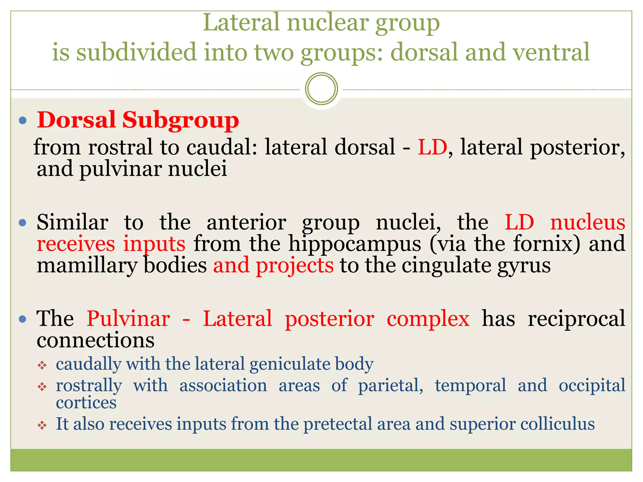 Thalamus | PPTX
