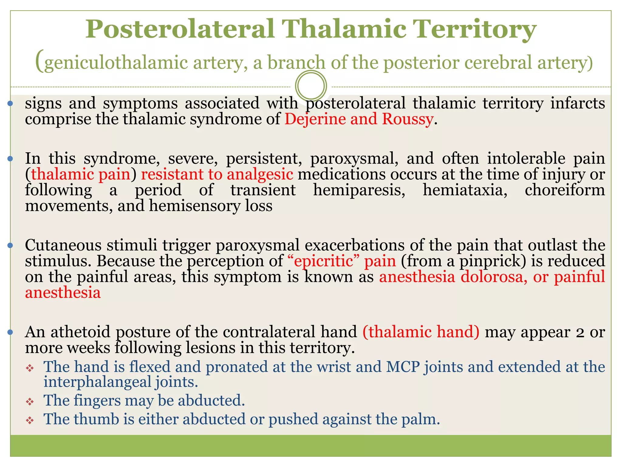 Thalamus | PPTX