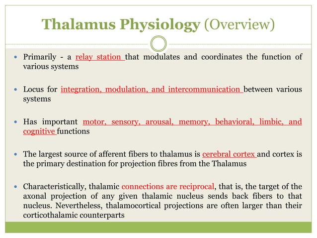 Thalamus | PPTX | Brain and Nervous System Disorders | Diseases and ...
