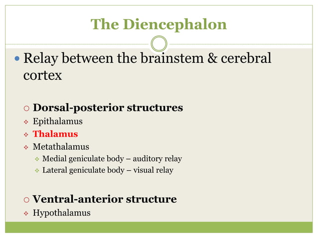 Thalamus | PPTX | Brain and Nervous System Disorders | Diseases and Conditions