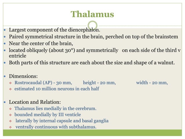 Thalamus | PPTX | Brain and Nervous System Disorders | Diseases and ...
