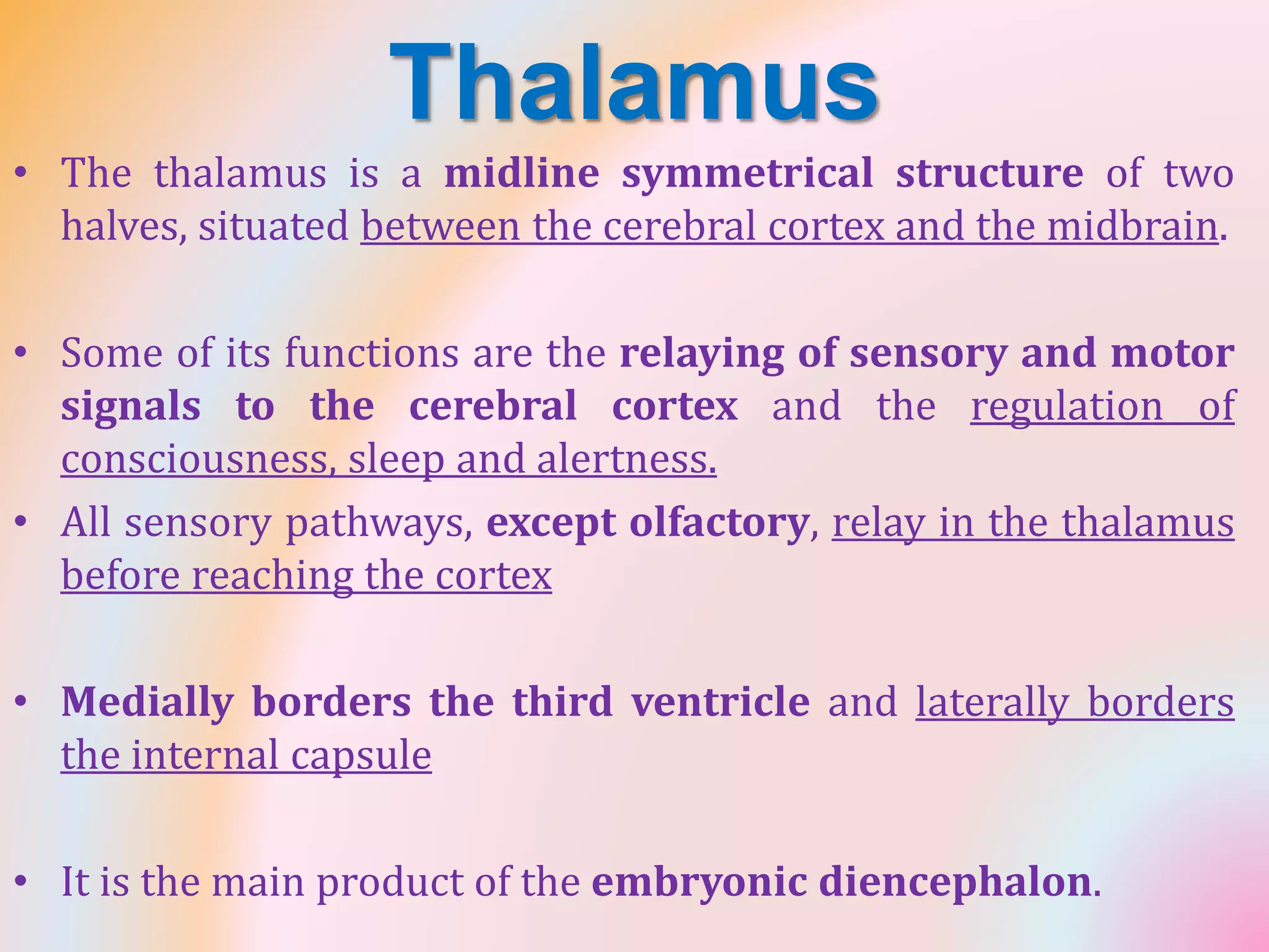 Thalamus | PPT