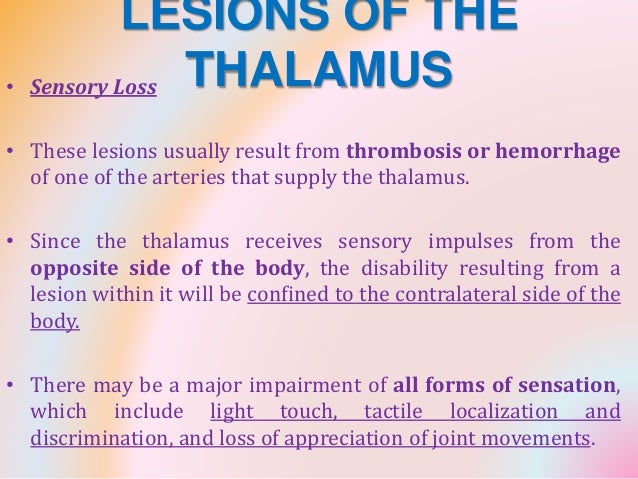 Thalamus