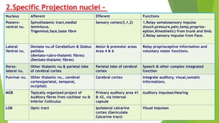 Thalamus-Anatomy,Physiology,Applied aspects | PPTX