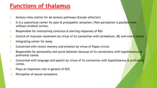 Thalamus-Anatomy,Physiology,Applied aspects | PPTX