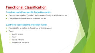 Thalamus-Anatomy,Physiology,Applied aspects | PPTX