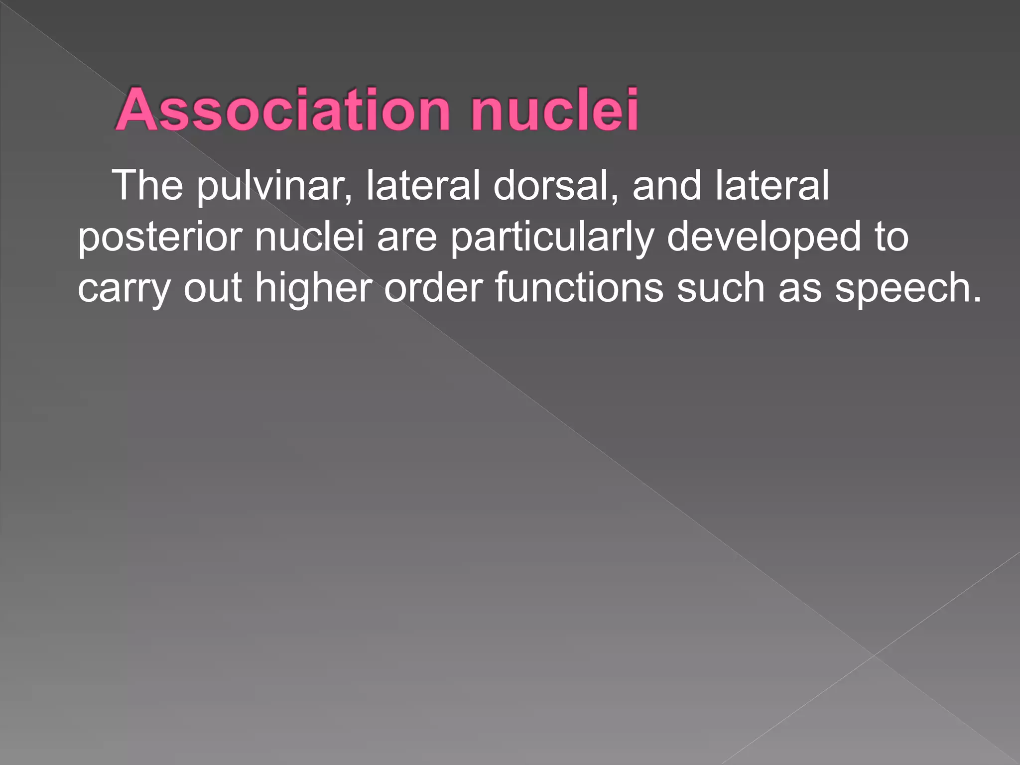 Thalamus, its functions and thalamic syndrome | PPTX