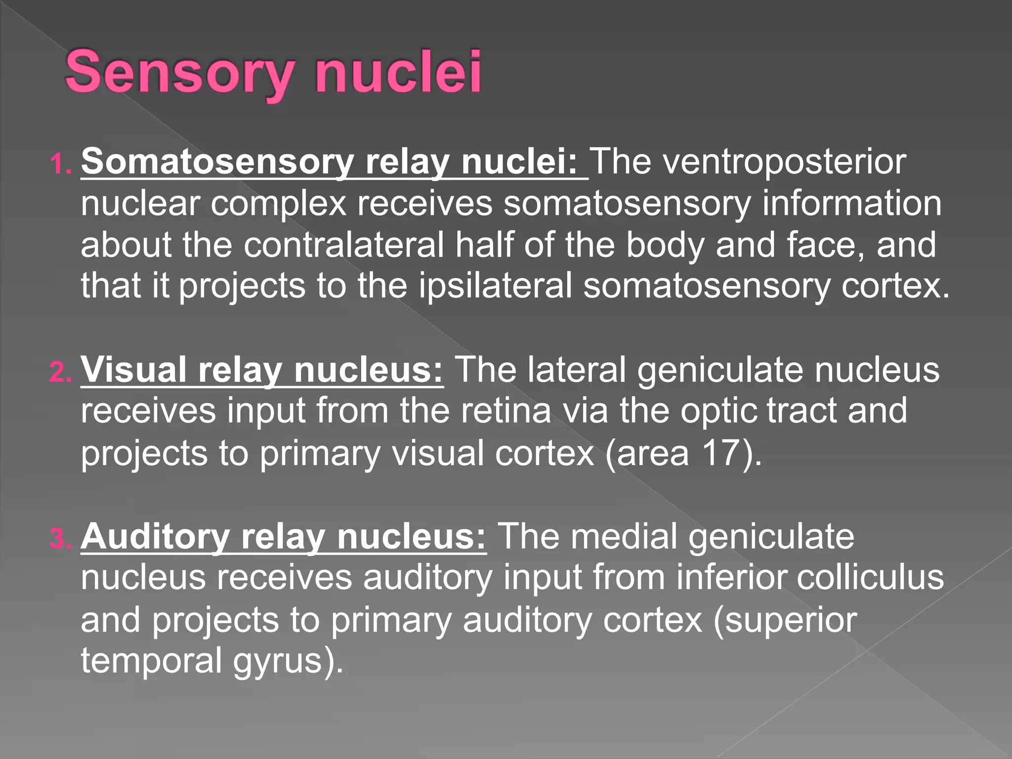 Thalamus, its functions and thalamic syndrome | PPTX