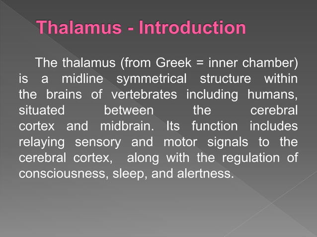Thalamus, its functions and thalamic syndrome | PPTX | Brain and ...