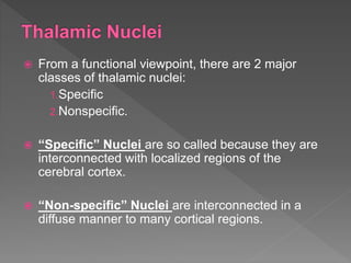 Thalamus, its functions and thalamic syndrome | PPTX