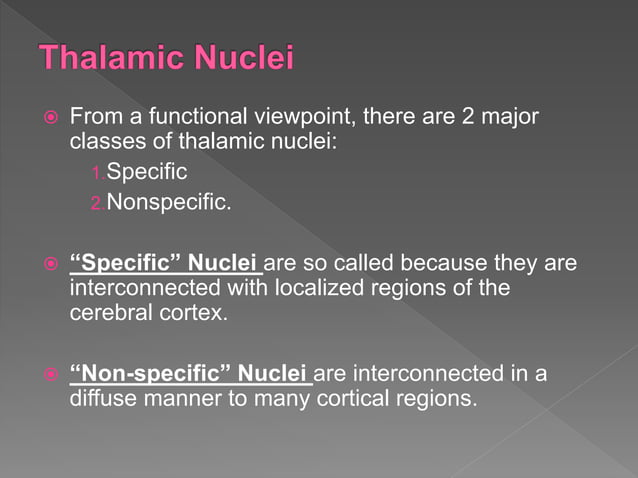 Thalamus, its functions and thalamic syndrome | PPTX | Brain and ...
