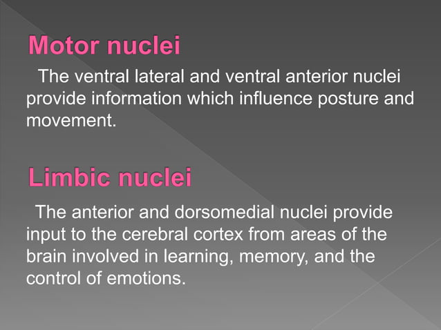 Thalamus, its functions and thalamic syndrome | PPTX | Brain and ...