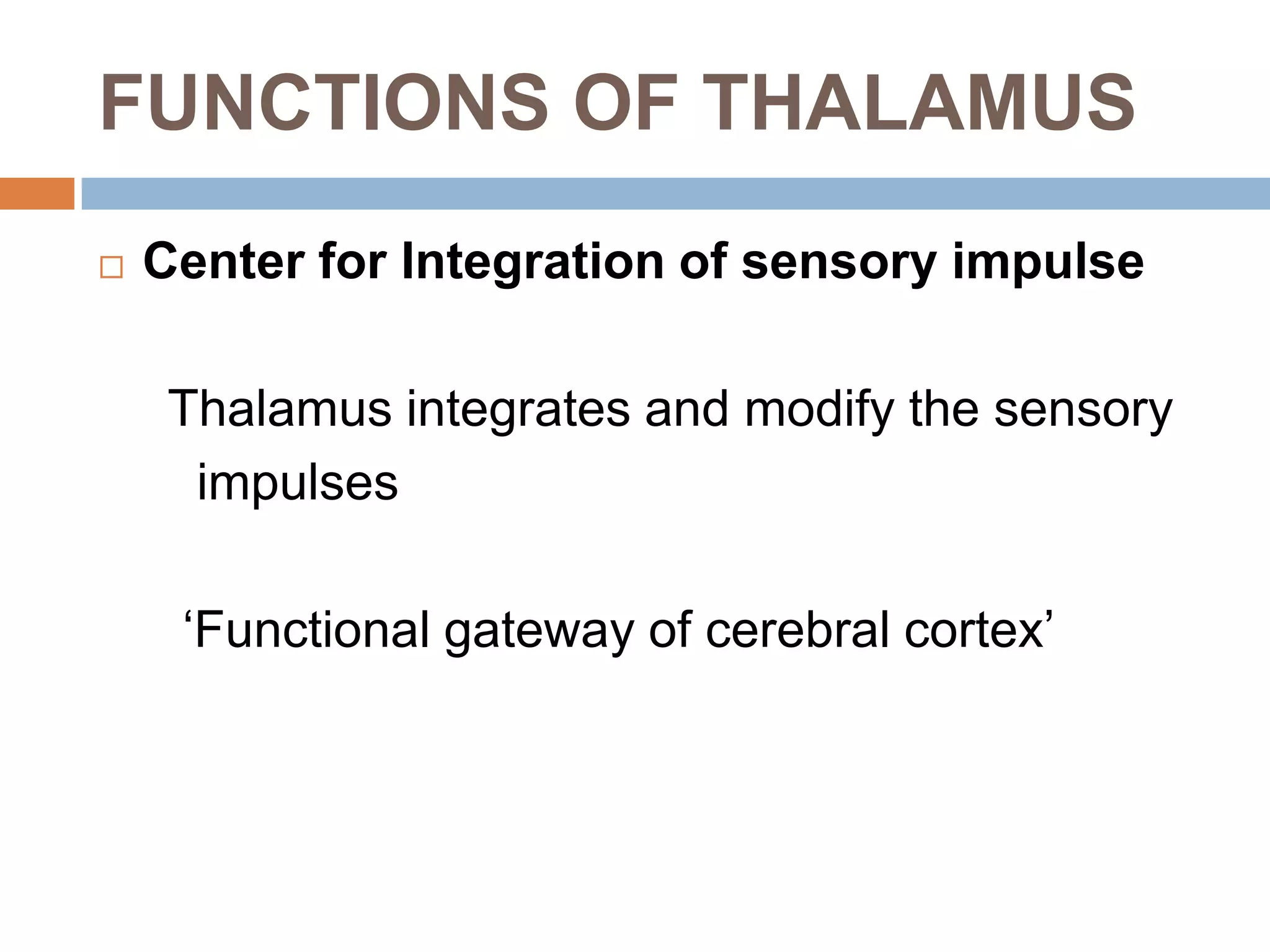 Thalamus | PPTX