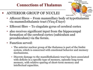 thalamus.pdf