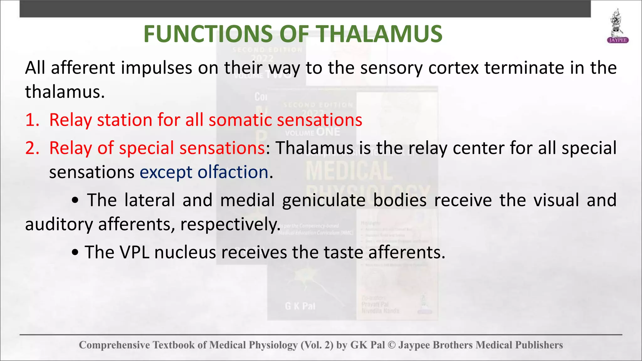 thalamus.pptx