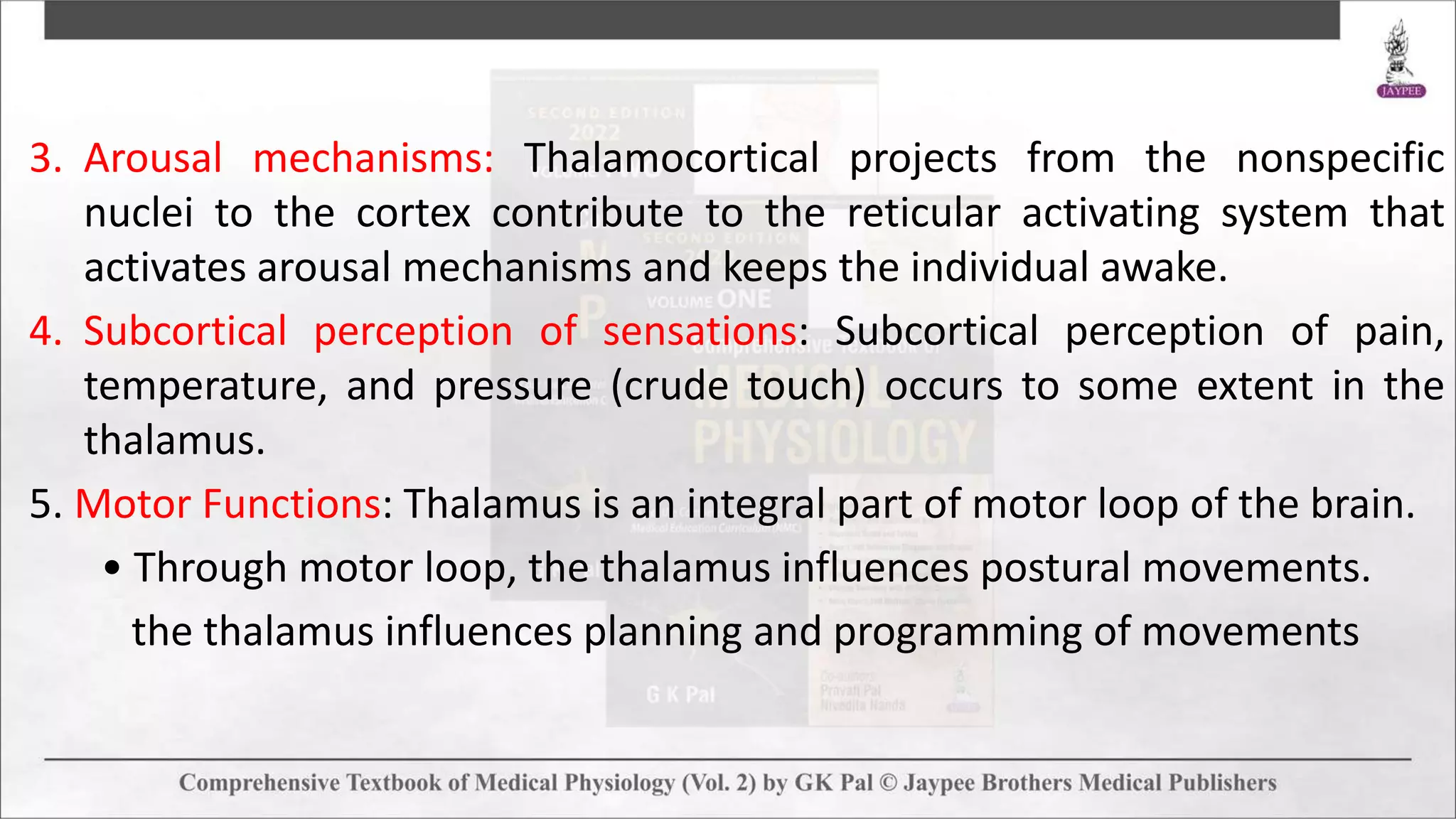 thalamus.pptx