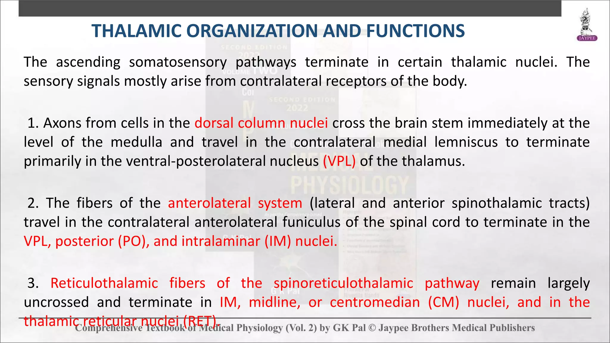 thalamus.pptx