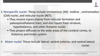 thalamus.pptx