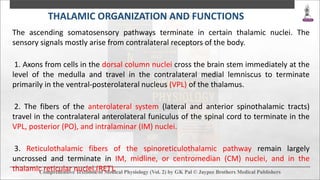 thalamus.pptx