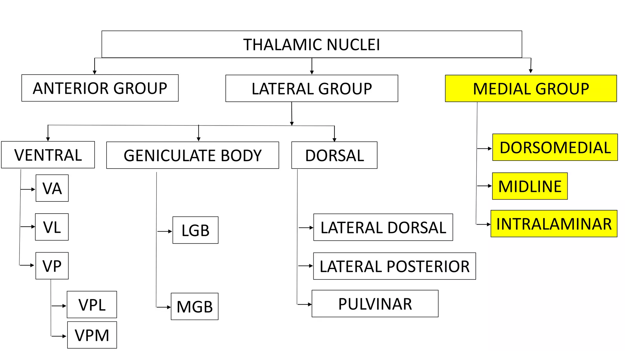 Physiology of thalamus | PPTX