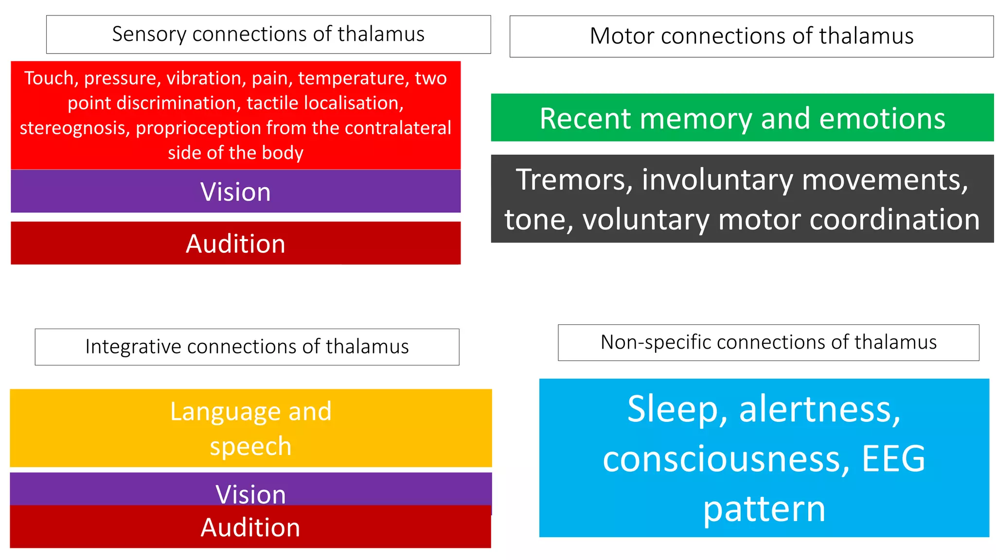 Physiology of thalamus | PPTX