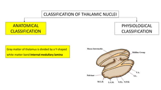 Physiology of thalamus | PPTX
