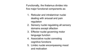 THALAMUS .pptx