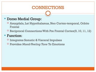 THALAMUS (1).pptx the major relay station | PPT