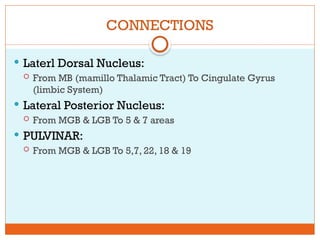 THALAMUS (1).pptx the major relay station | PPT