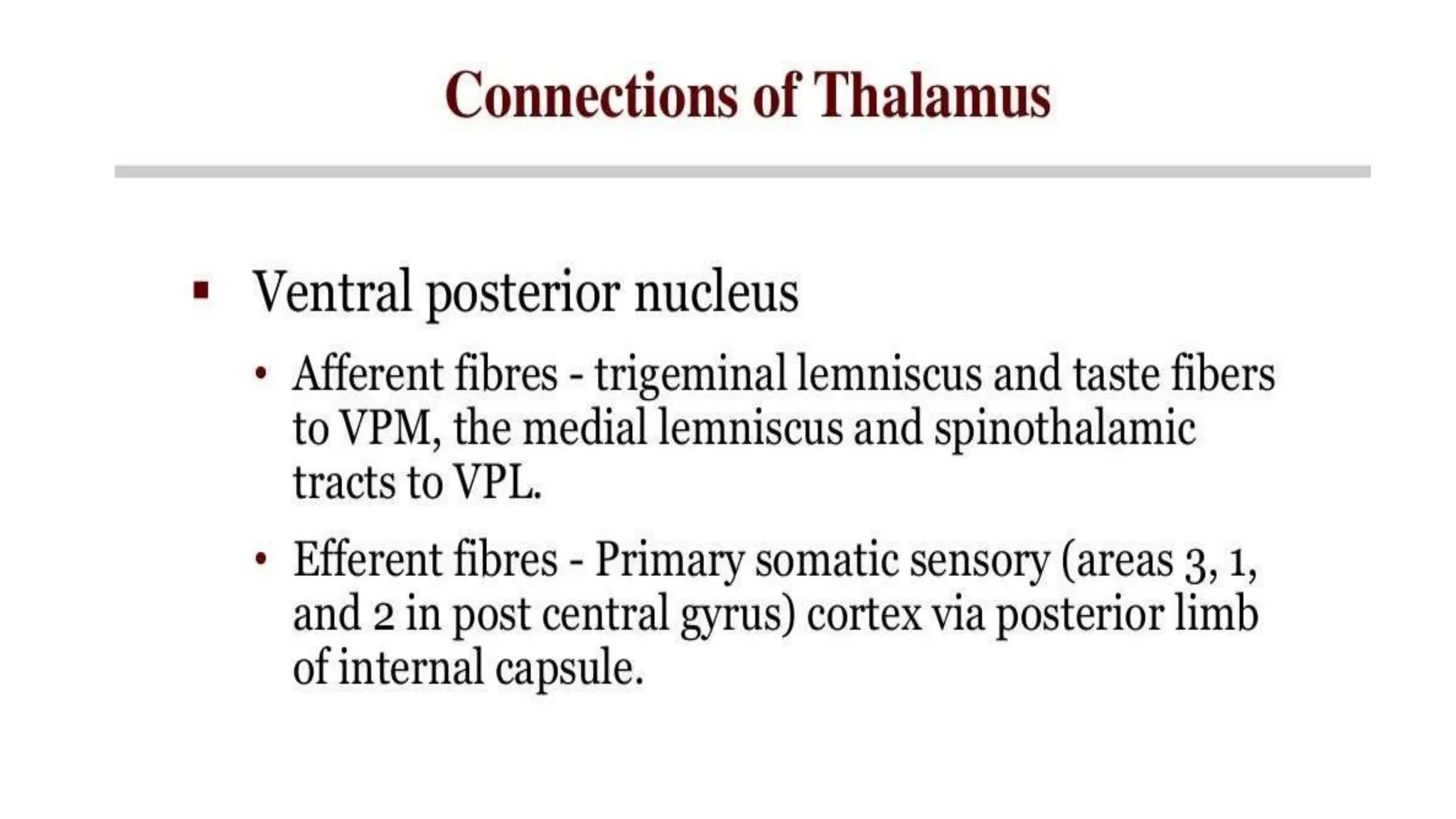 THALAMUS ANATOMY.pptx