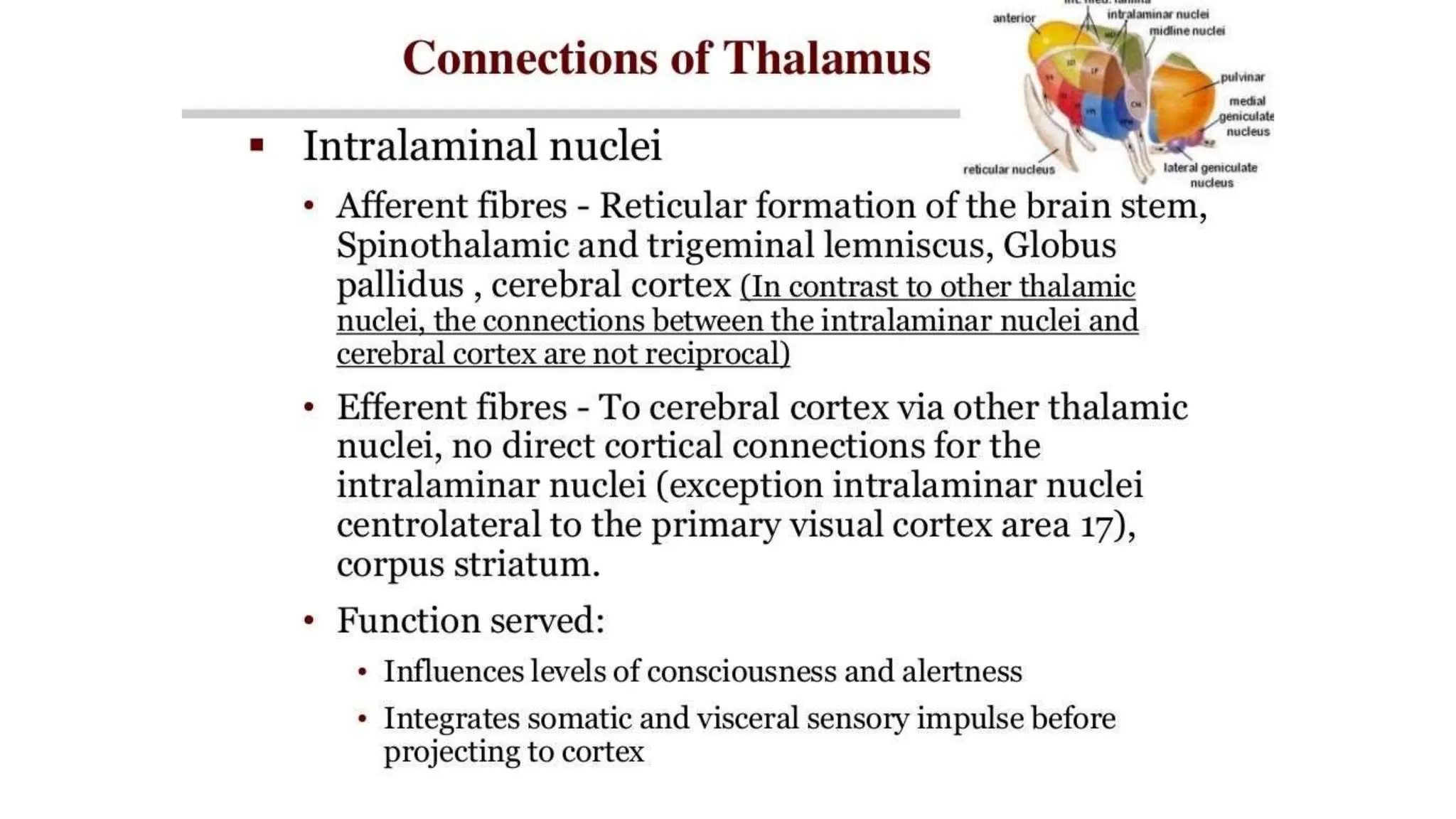 THALAMUS ANATOMY.pptx