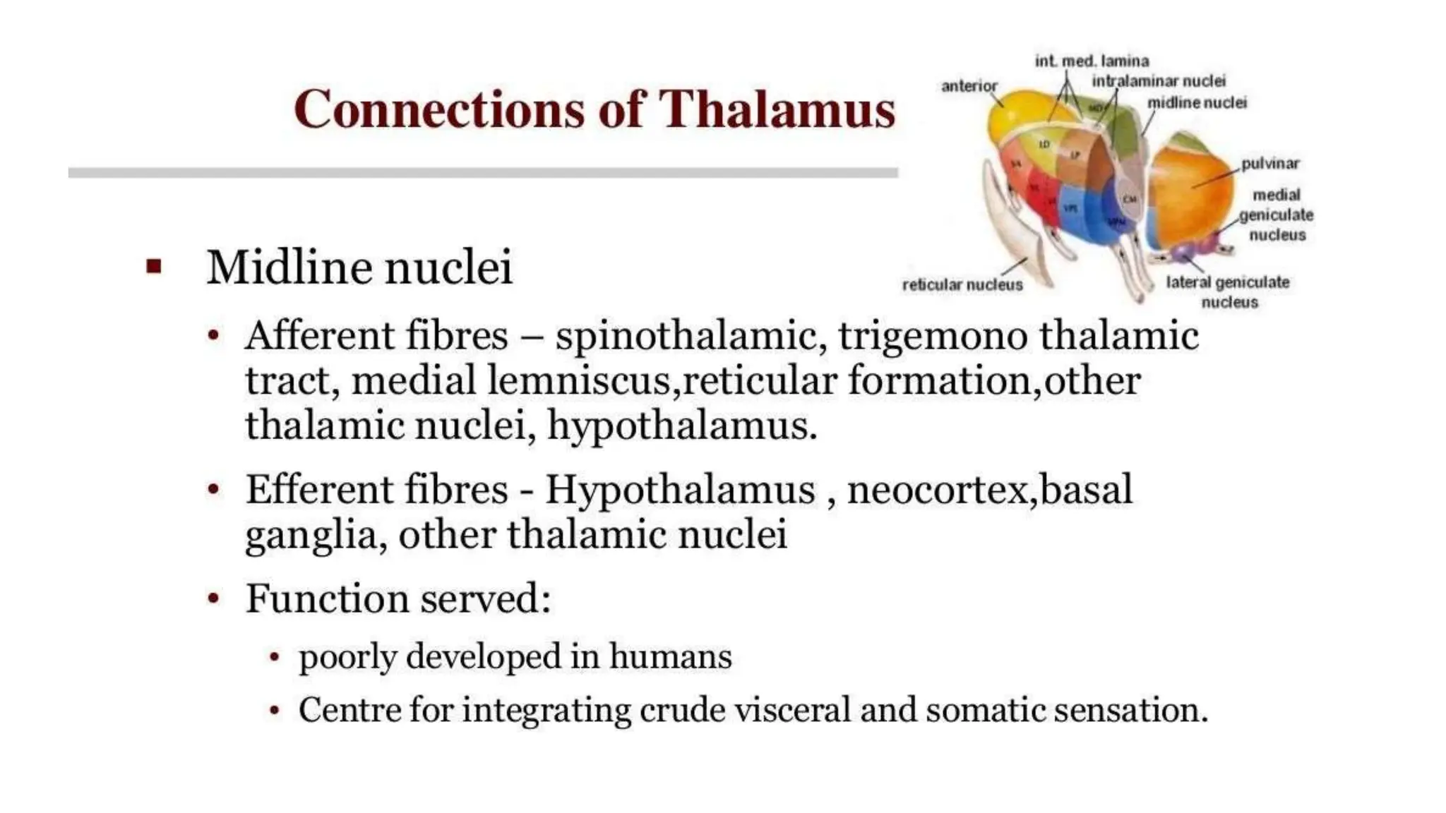 THALAMUS ANATOMY.pptx