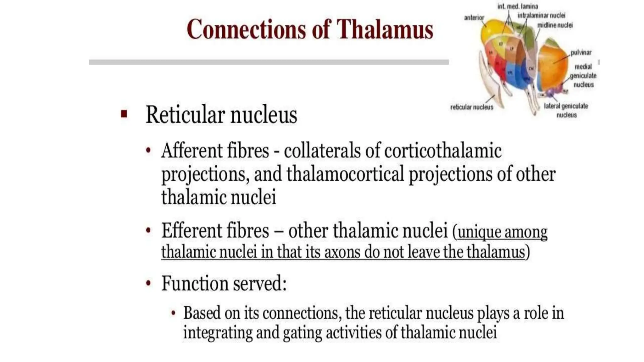 THALAMUS ANATOMY.pptx