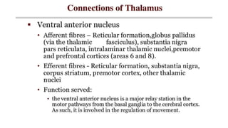 THALAMUS ANATOMY.pptx