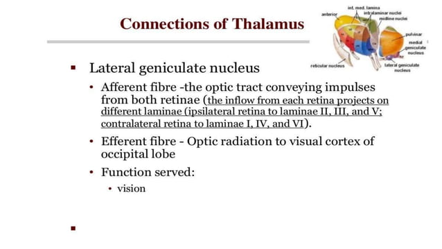 THALAMUS ANATOMY.pptx