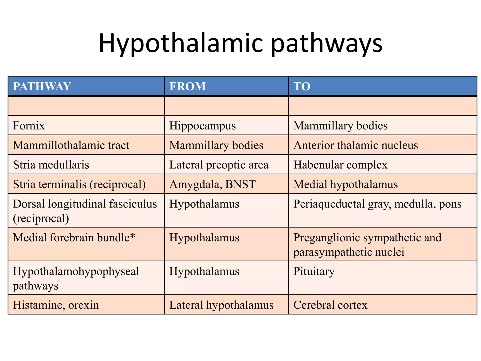 Thalamus and Hypothalamus.pdf