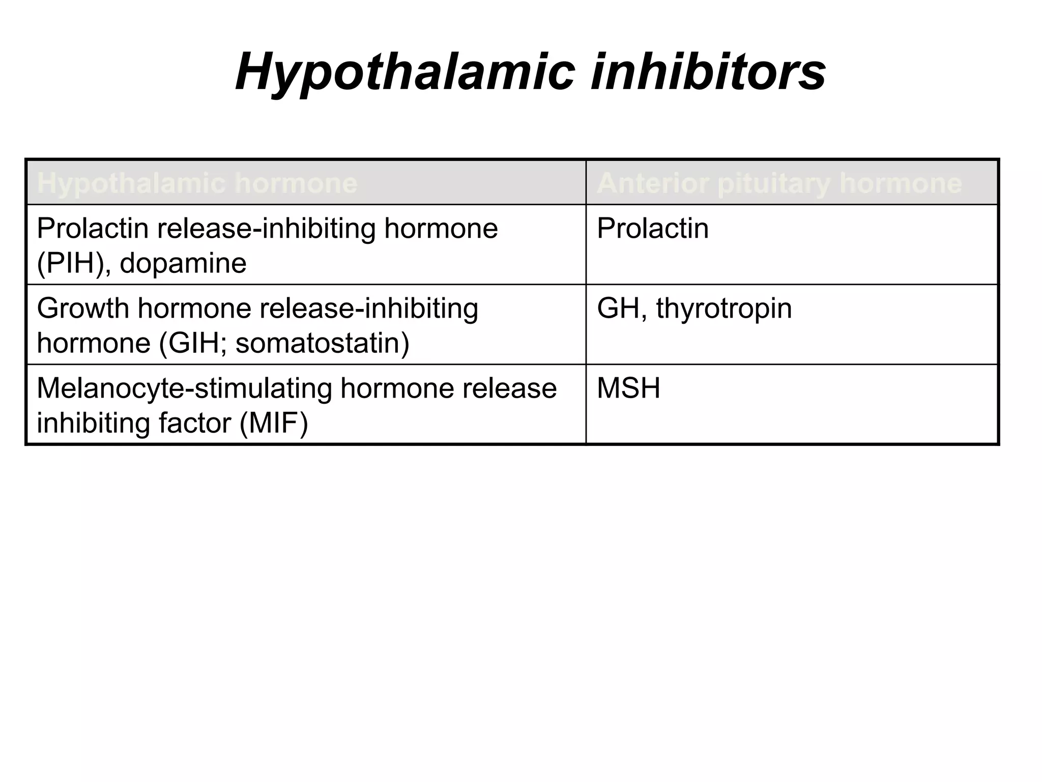 Thalamus and Hypothalamus.pdf