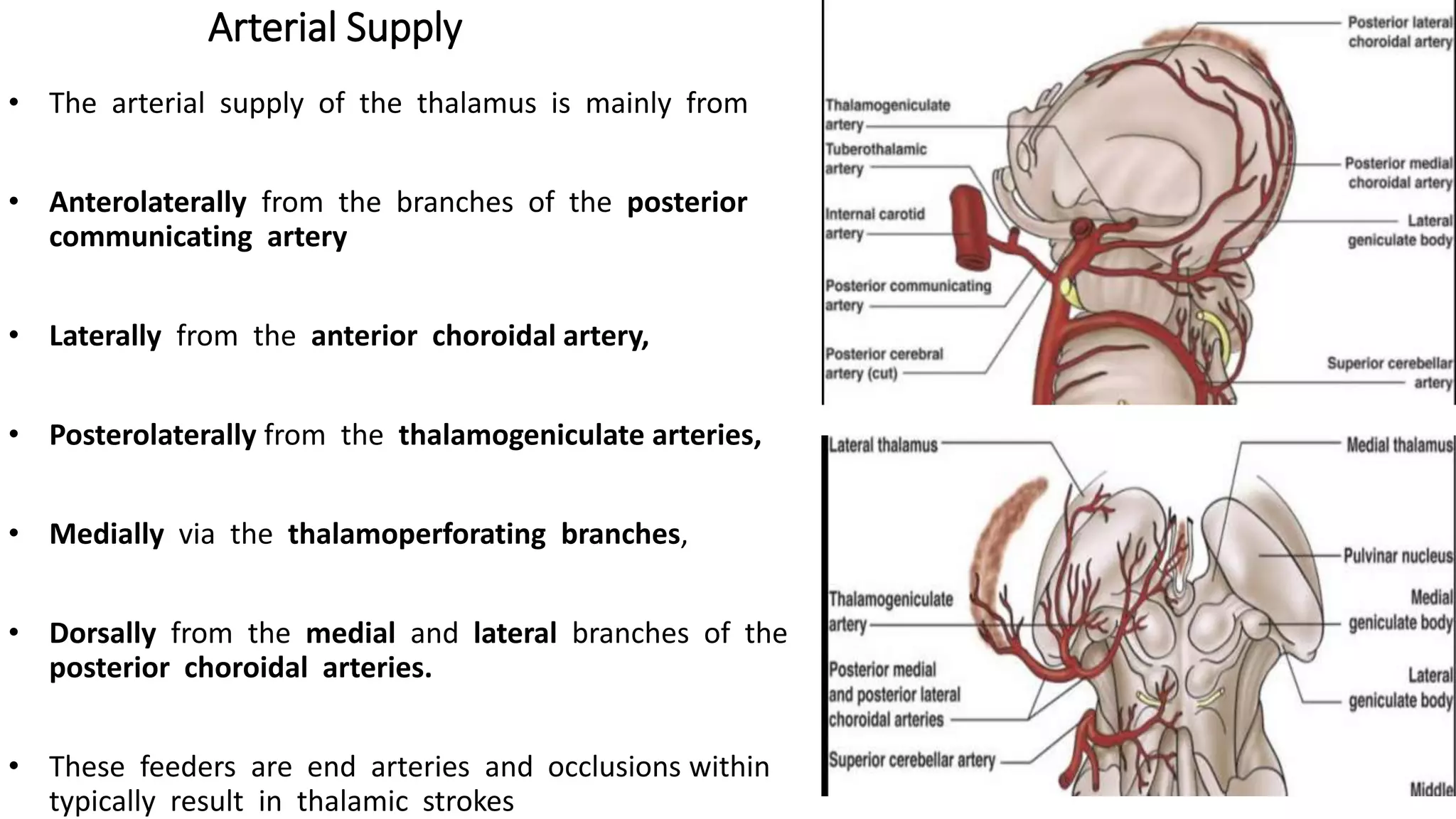 Thalamus and its surgical approaches | PPTX