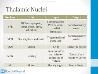 Thalamus, Hypothalamus, Limbic System atf.pdf
